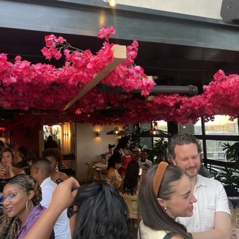 LUCHA ROSA ROOFTOP BAR - Updated August 2024 - 223 Photos & 94 Reviews ...