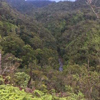 POAMOHO RIDGE TRAIL - Updated December 2025 - 98 Photos & 12 Reviews ...