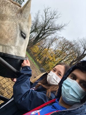 ROSE BRIDGE FARM & SANCTUARY - 55 Reviews & 156 Photos - 1314 N ...