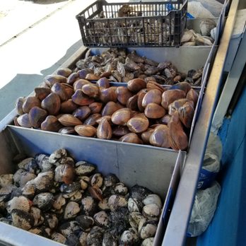 PESCADERÍA SINALOA - Updated October 2025 - Zona Centro, Tijuana, Baja ...