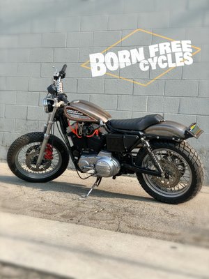 BORN FREE CYCLES - Updated January 2025 - 70 Photos & 138 Reviews - 110 ...