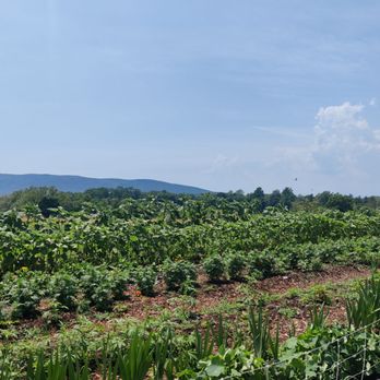 JONES FARM & COUNTRY STORE - Updated October 2025 - 278 Photos & 186 ...