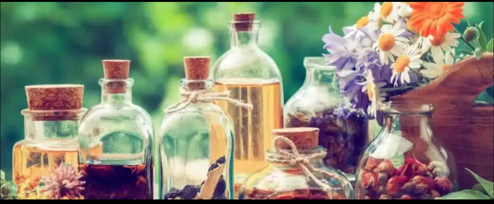 RED PHOENIX RISING - Updated March 2024 - Hagerstown, Maryland - Health ...