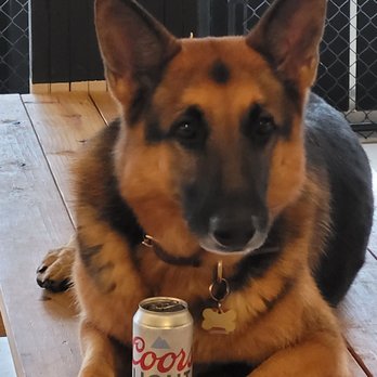 CLUB K9 DOG PARK BAR - Updated November 2025 - 24 Photos & 12 Reviews ...
