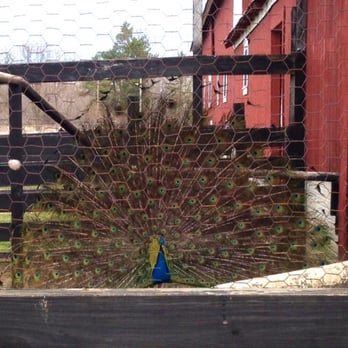 MAYBURY FARM - Updated October 2024 - 65 Photos & 15 Reviews - 50165 8 ...