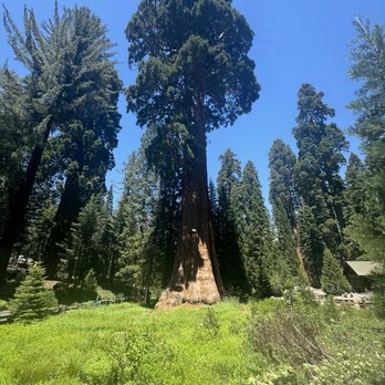 SEQUOIA NATIONAL FOREST AND GIANT SEQUOIA NATIONAL MONUMENT - Updated ...