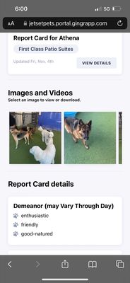 BEACHES JET SET PETS - Updated September 2025 - 11 Photos & 14 Reviews ...