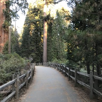 GRANT GROVE - Updated July 2025 - 298 Photos & 44 Reviews - General ...