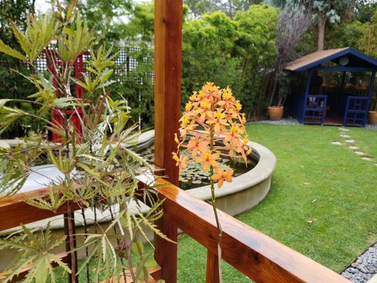 MONTANYA SPA - 43 Photos & 134 Reviews - 120 W 20th St, Santa Ana, CA ...