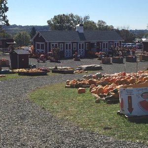 HELLERICK FAMILY FARM - 90 Photos & 34 Reviews - Attraction Farms ...