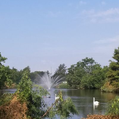 KENNER CITY PARK PAVILION - Updated February 2025 - 119 Photos & 11 ...