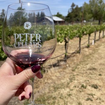 PETER CELLARS - Updated February 2025 - 117 Photos & 88 Reviews - 21708 ...