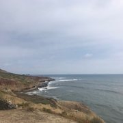 POINT LOMA TIDE POOLS - 841 Photos & 129 Reviews - Gatchell Rd, San ...