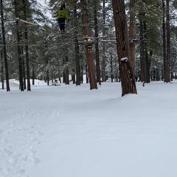 FLAGSTAFF EXTREME ADVENTURE COURSE - Updated November 2024 - 342 Photos ...