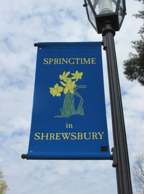 SHREWSBURY PUBLIC LIBRARY - Updated January 2026 - 57 Photos - 609 Main ...