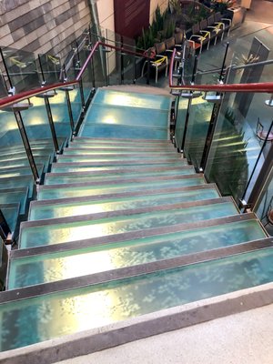 SUNNYBROOK HEALTH SCIENCES CENTRE - Updated January 2026 - 77 Photos ...