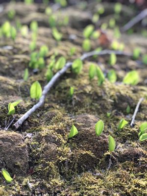 BLYDENBURGH PARK - Updated March 2026 - 197 Photos & 72 Reviews - 100 ...