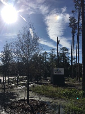 JOHN SISCO TREE SERVICE AND REMOVALS - Updated January 2026 - 12 Photos ...