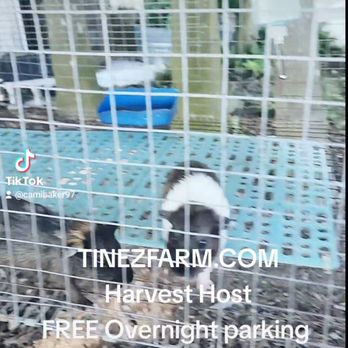 TINEZ FARMS - 309 Photos & 51 Reviews - 16405 SW 177th Ave, Miami ...