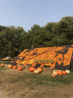 SEVER’S CORN MAZE & FALL FESTIVAL - Updated September 2024 - 55 Photos ...