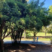 LACY PARK - 683 Photos & 306 Reviews - 1485 Virginia Rd, San Marino ...