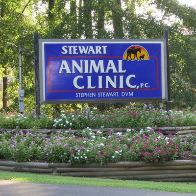 STEWART ANIMAL CLINIC - Updated January 2026 - 40 Photos & 19 Reviews ...