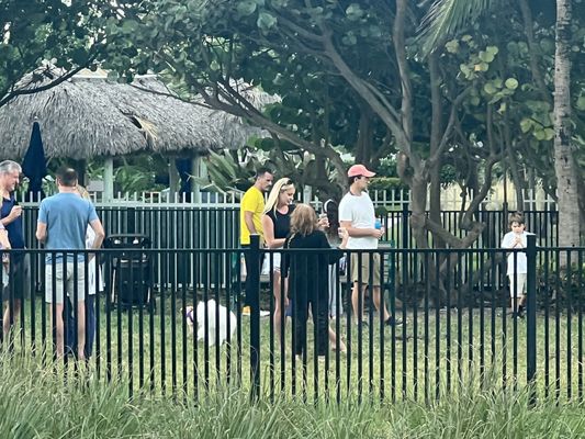 ALLISON PARK - Updated October 2025 - 47 Photos - 6500 Collins Ave ...