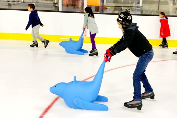 GREAT PARK ICE & FIVEPOINT ARENA - 136 Photos & 73 Reviews - 888 Ridge ...