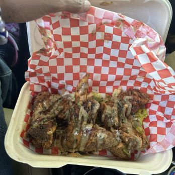 WINKY DINKY DOGS - Updated July 2024 - 41 Photos & 25 Reviews - 325 ...