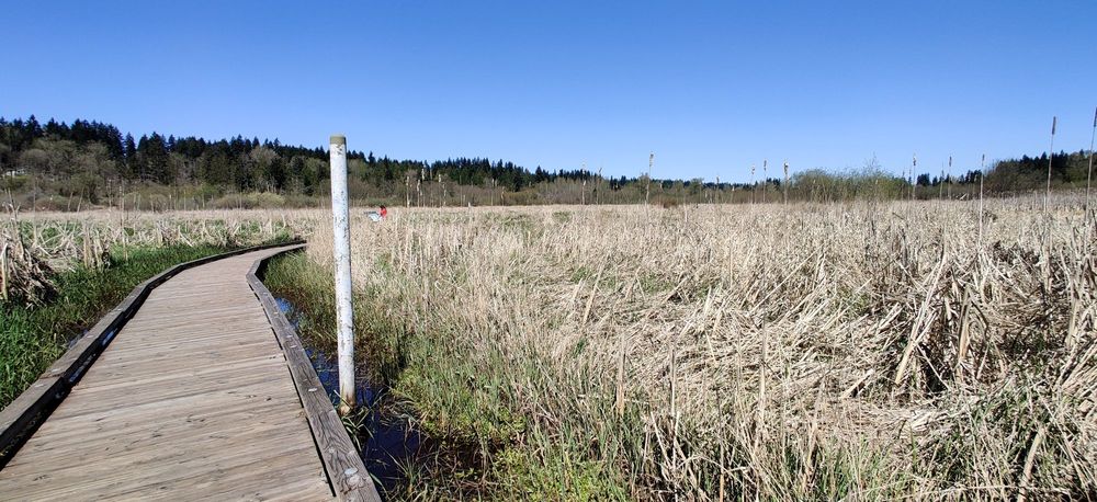 NORTH CREEK PARK - Updated April 2025 - 89 Photos & 32 Reviews - 1011 ...