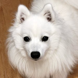 THE PETROPOLITAN - Updated January 2026 - 22 Photos - 101 - 131 9 ...