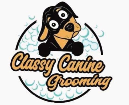 CLASSY CANINE GROOMING - Updated May 2026 - Trenton, Florida - Pet ...