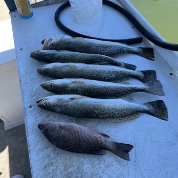 SIX CHUTER CHARTERS - Updated June 2024 - 47 Photos & 25 Reviews - 951 ...