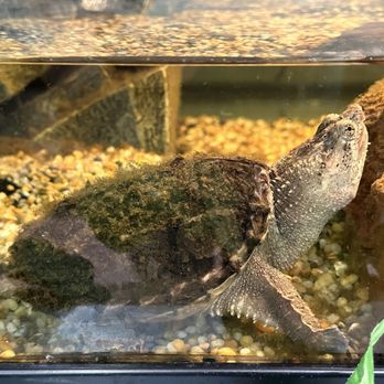 FLOATING SEA AQUATICS - Updated August 2025 - 268 Photos & 57 Reviews ...