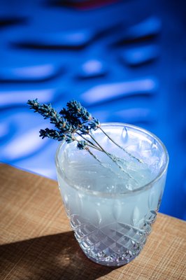 ALCHEMY BAR AND KITCHEN - Updated January 2025 - 34 Photos - 1269 ...