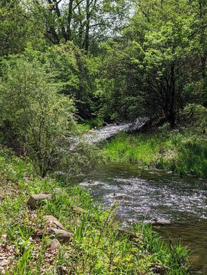 WOODHAVEN LAKES - 45 Photos & 35 Reviews - 509 La Moille Rd, Sublette ...