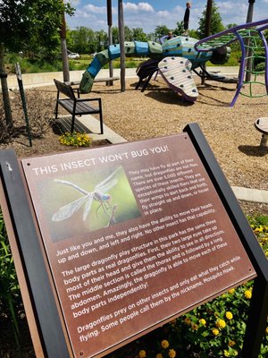 DRAGONFLY PARK - Updated June 2024 - 13 Photos - Lloyd Park Dr, Cypress ...