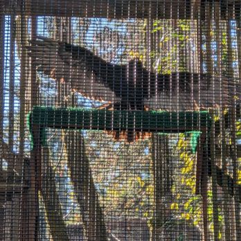 CASCADES RAPTOR CENTER - Updated November 2025 - 158 Photos & 115 ...