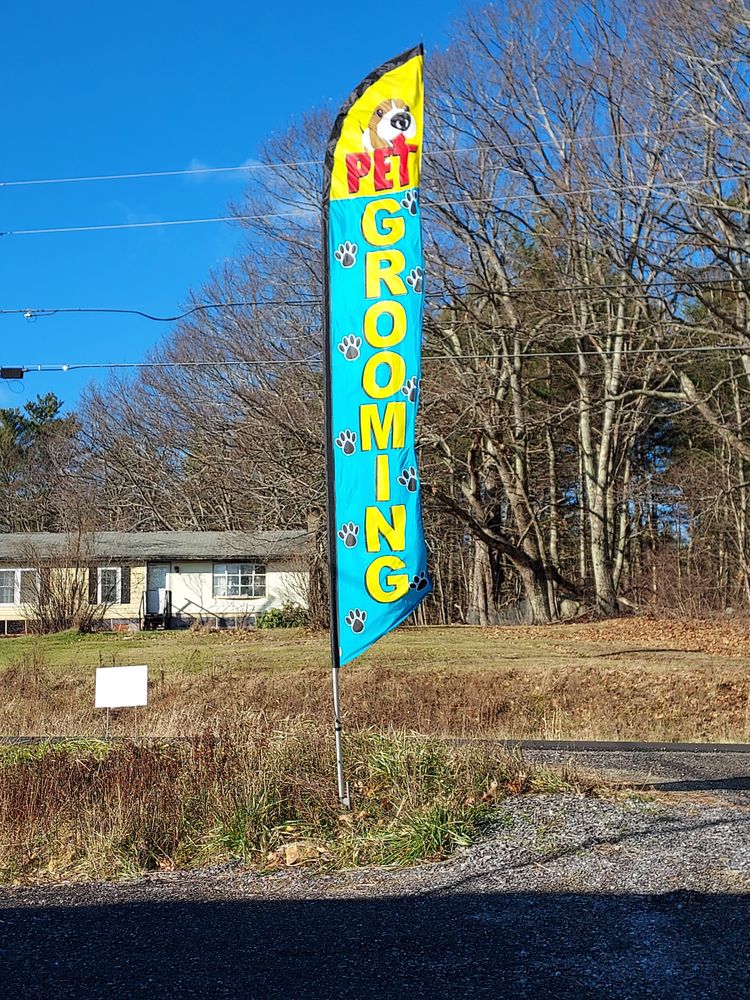 ANITAS GROOMING SHED - Updated August 2025 - 16 Photos - 441 Windsor Rd ...