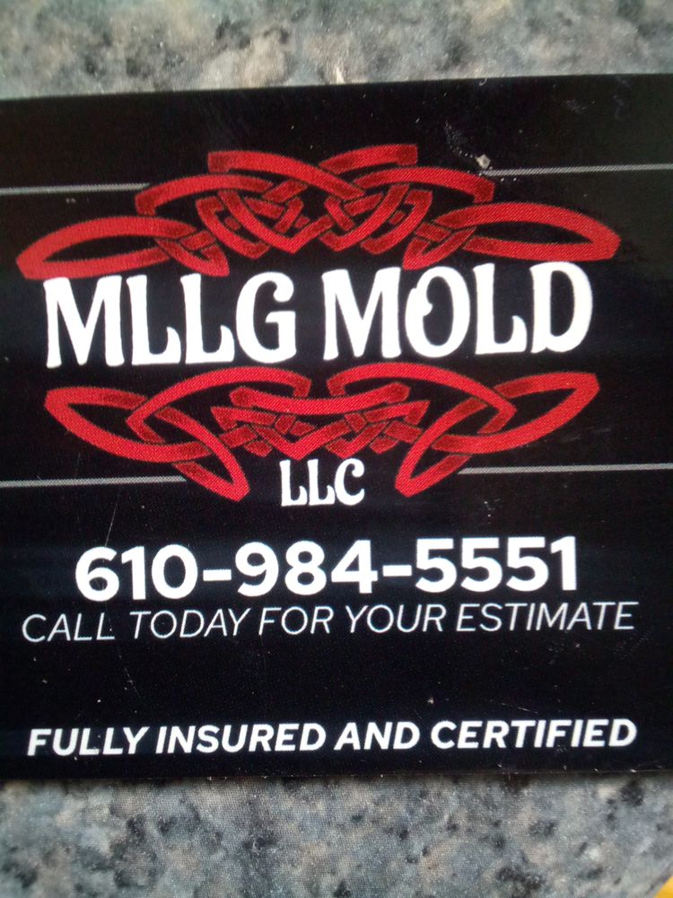 MLLG MOLD LLC - Updated May 2024 - 1096 W Berwick St, Easton ...