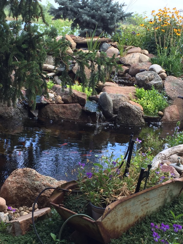 COLORADO POND PROS - 10 Photos - Landscaping - Longmont, CO - Phone Number