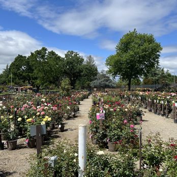 ALDEN LANE NURSERY - Updated October 2024 - 371 Photos & 215 Reviews ...