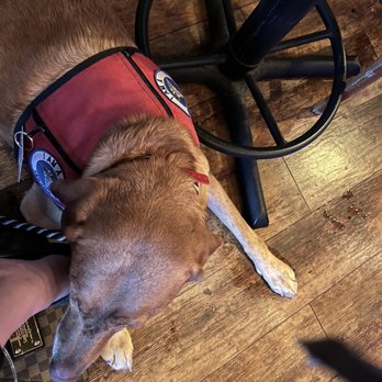 JAPANGO - Updated June 2024 - 416 Photos & 498 Reviews - 1136 Pearl St ...