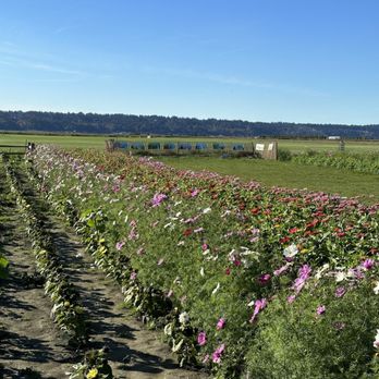 STOCKER FARMS - Updated September 2025 - 193 Photos & 130 Reviews ...