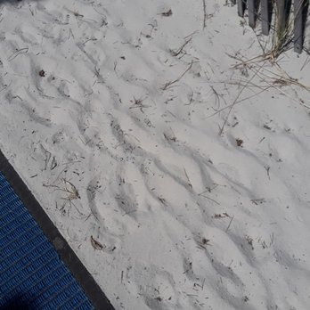 NICKERSON BEACH - Updated January 2026 - 130 Photos & 26 Reviews - 880 ...