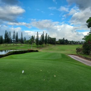 WAIKELE COUNTRY CLUB - 199 Photos & 117 Reviews - Golf - 94-200 Paioa ...