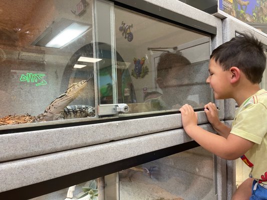 XTREME EXOTICS - Updated December 2025 - 79 Photos & 38 Reviews - 11672 ...