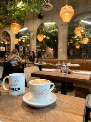 PIGEON - Updated January 2026 - 90 Photos & 42 Reviews - 337 King ...