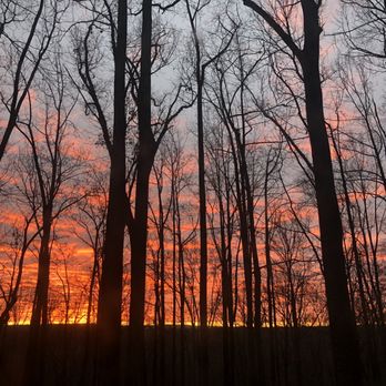 COOLFONT RESORT - Updated December 2025 - 26 Photos & 37 Reviews - 3621 ...