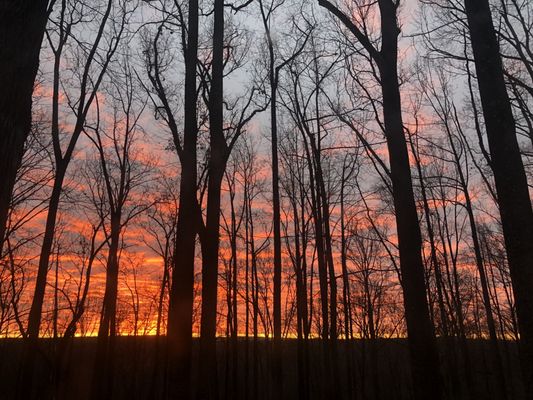 COOLFONT RESORT - Updated December 2025 - 26 Photos & 37 Reviews - 3621 ...